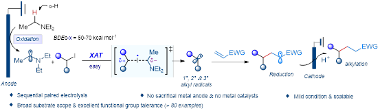 郑 柯-四川大学化学学院