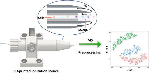 刘沁蕾-四川大学化学学院