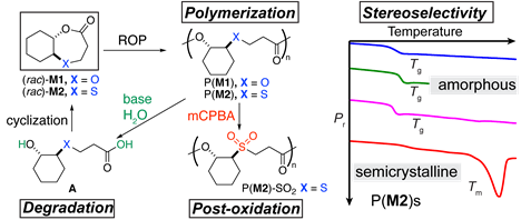朱剑波-四川大学化学学院