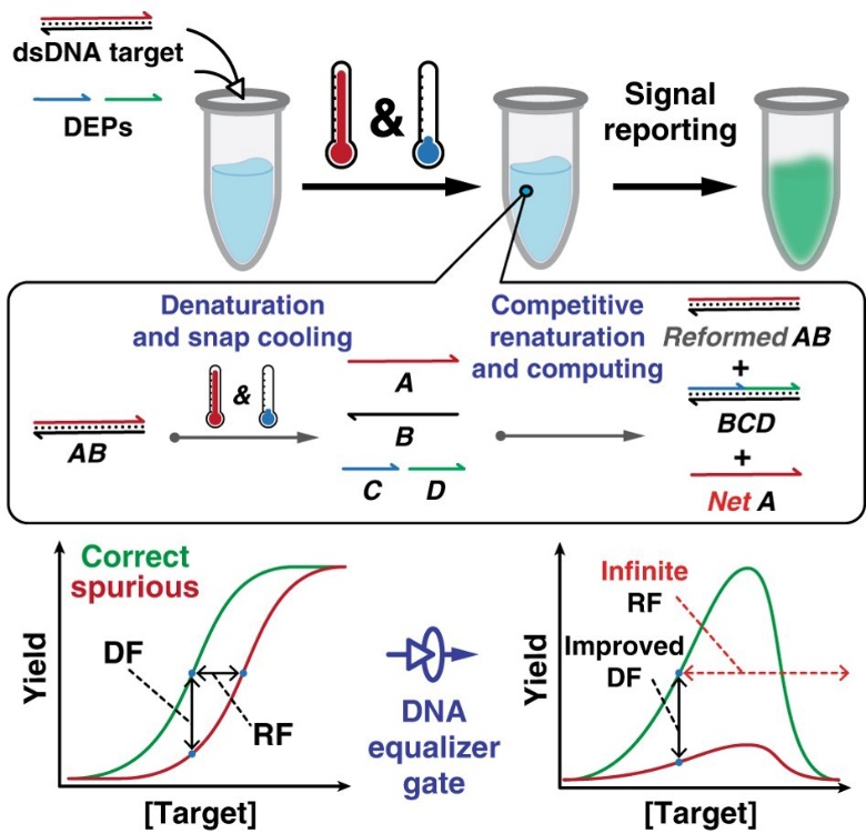 李 峰-四川大学化学学院