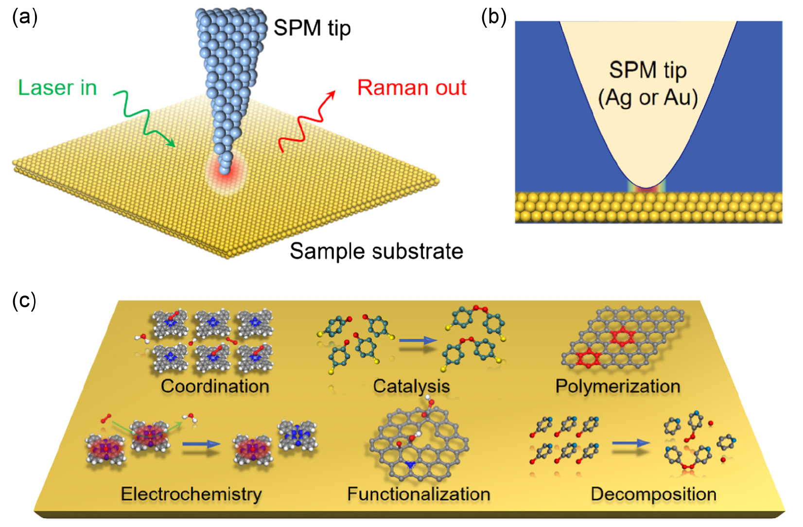 蔡镇锋-四川大学化学学院